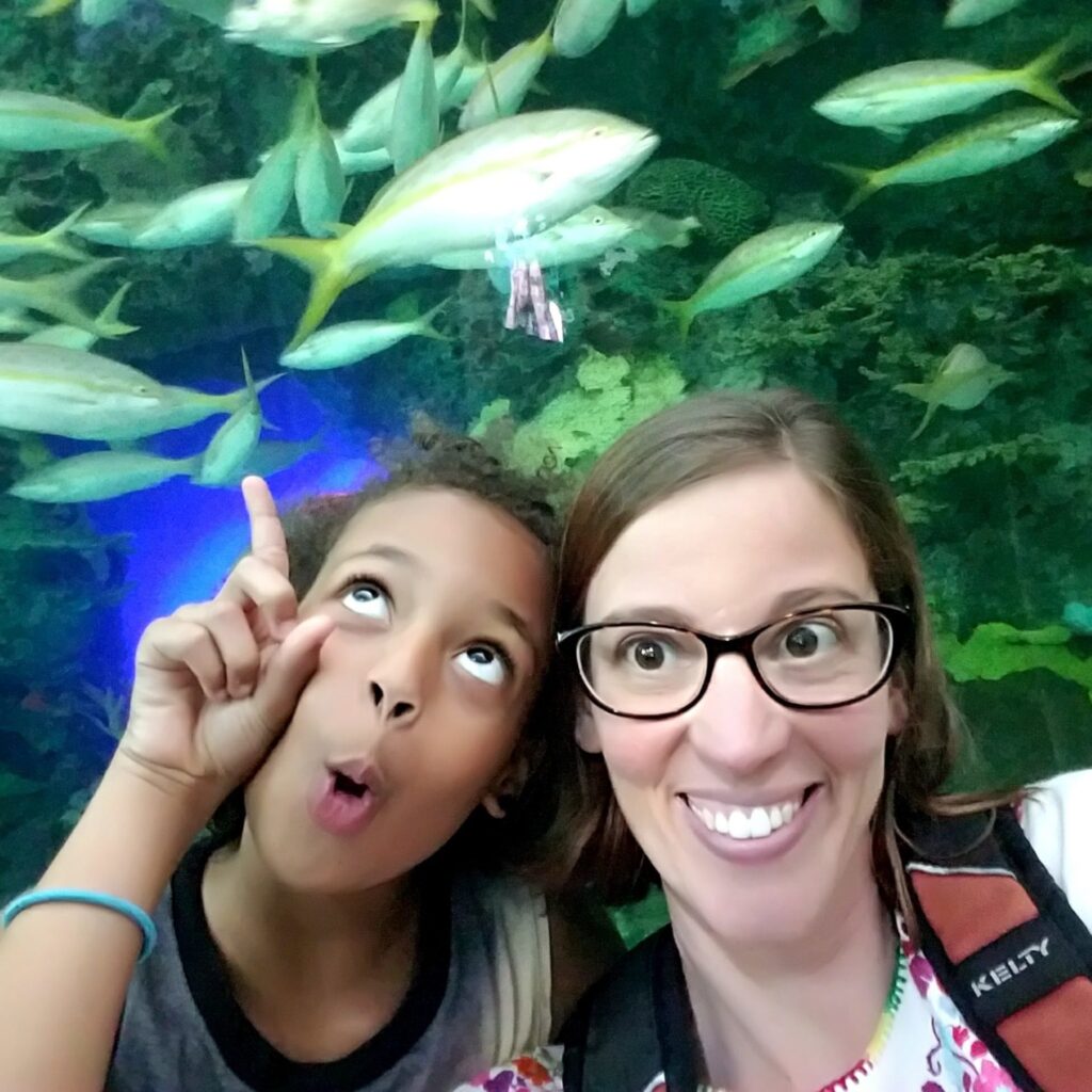 Meet the Team - Code the Dream